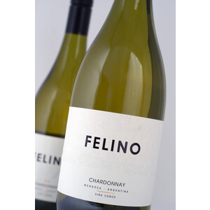 Viña Cobos Felino Chardonnay | Next Day Delivery