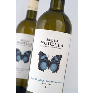 Bella Modella Figlia Trebbiano Pinot Grigio | Next Day Delivery